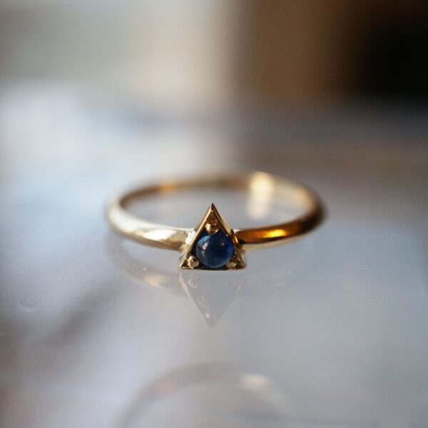 Triangle Ring - The Devil’s Workshop